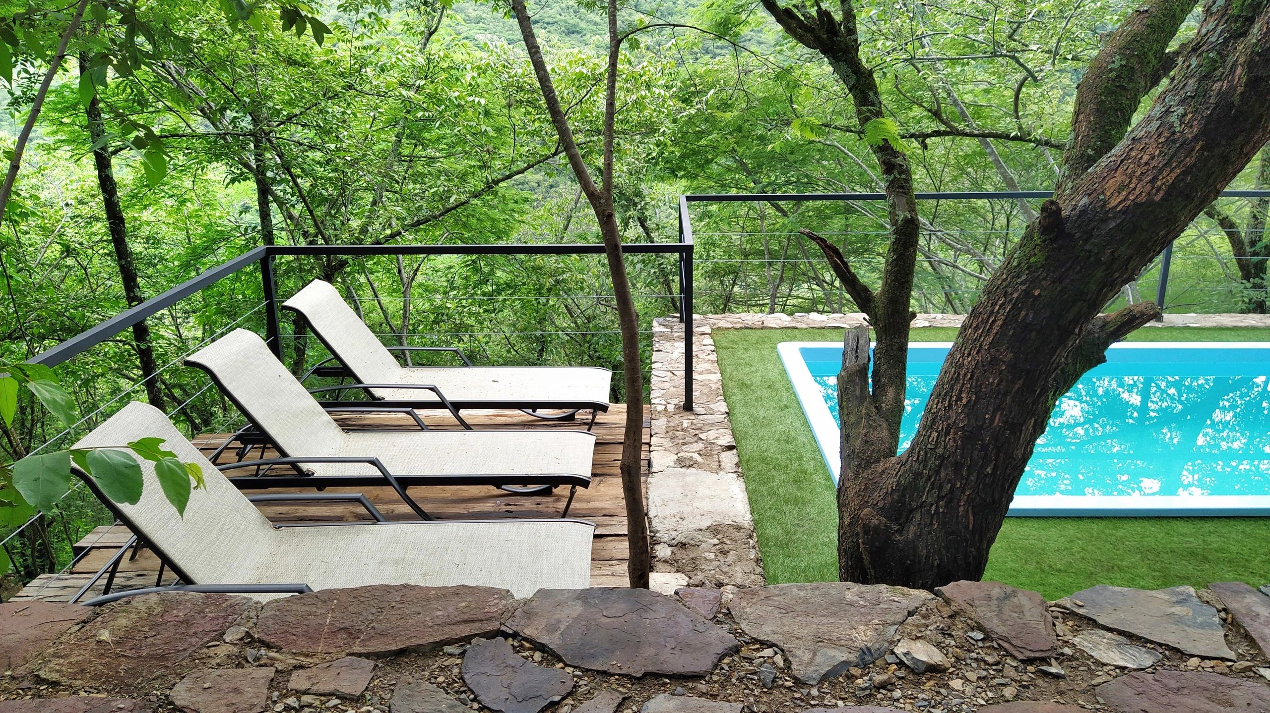 Capulines | Capulines