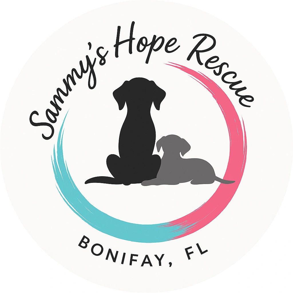 Find Your Perfect Dog Rescue Near Me | Sammy's Hope