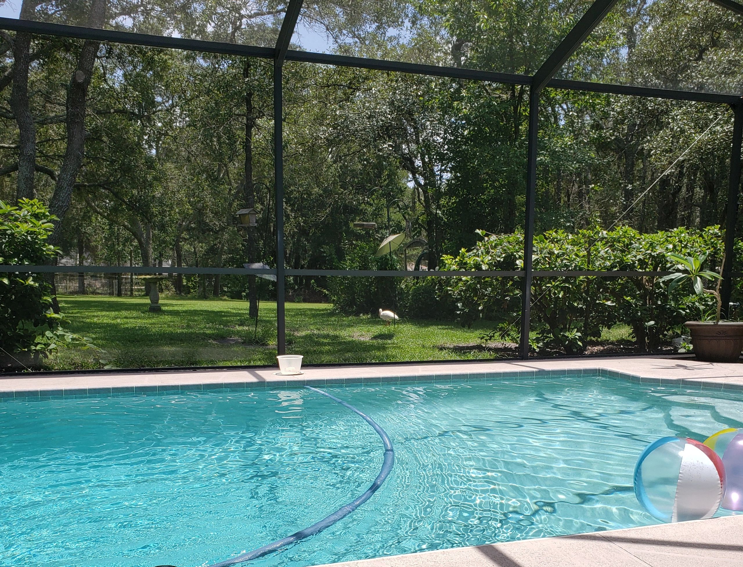 Home [hamptonpoolcleaning.com]