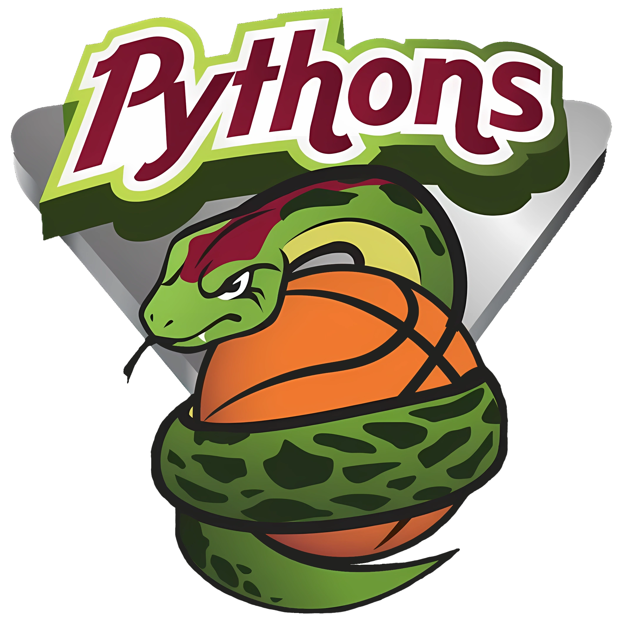 About Us | Pythons Basketball Club About Us | Pythons Basketball Club