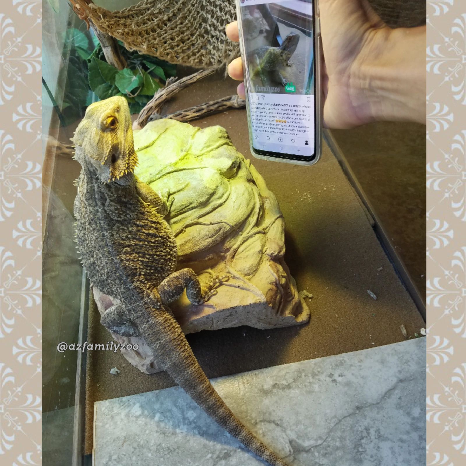 Let’s talk Instagram