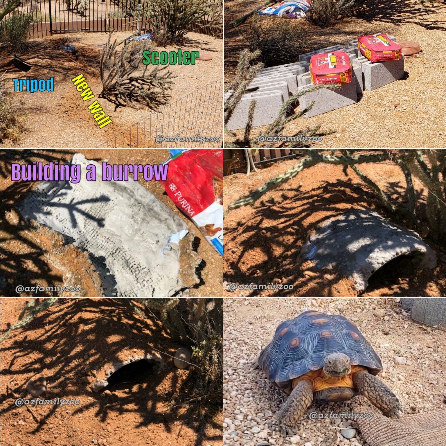 Welcoming Scooter! Building an enclosure and burrow