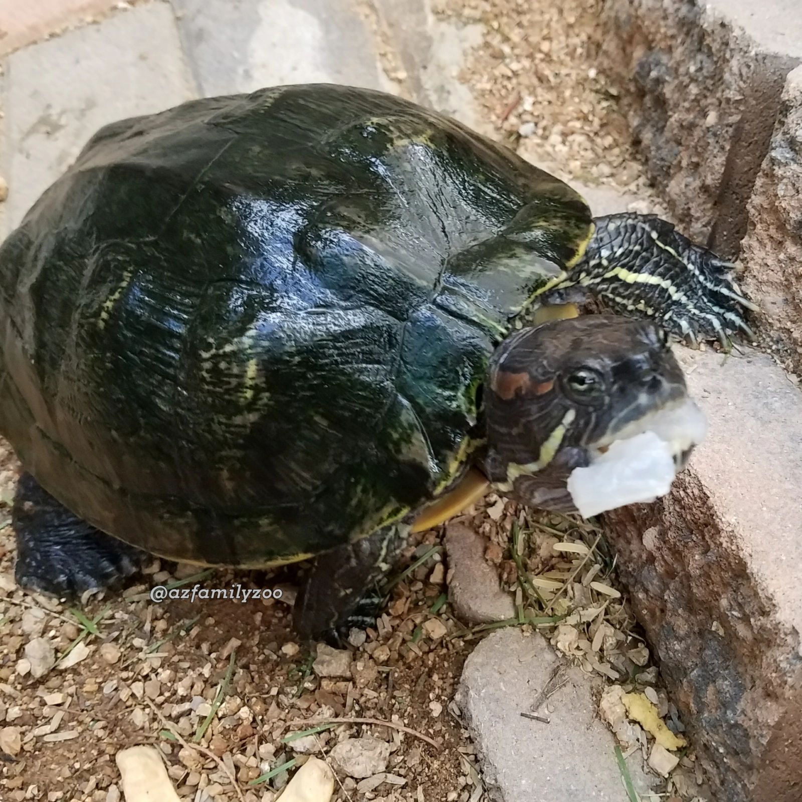 Don’t touch my fish