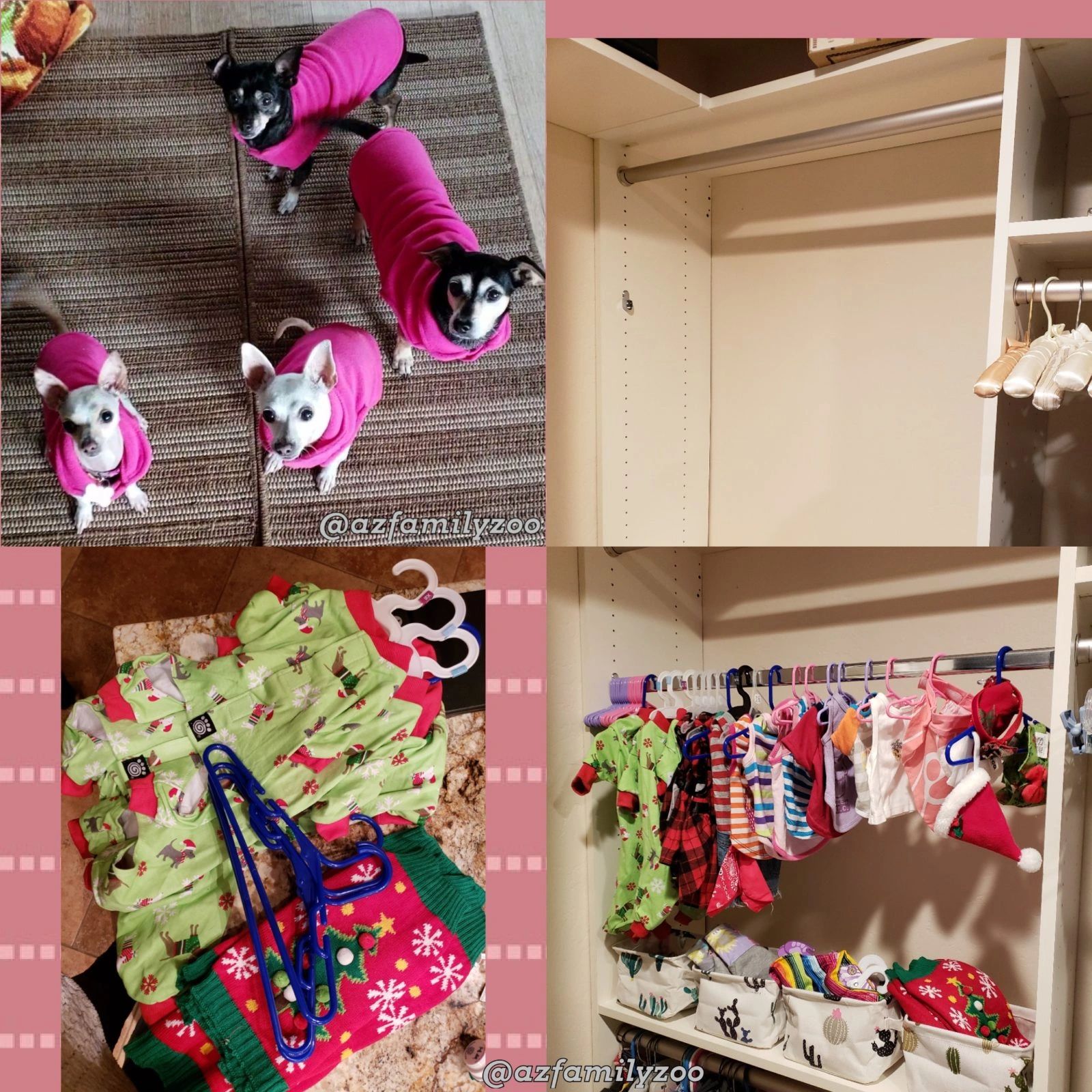 The Dog Closet