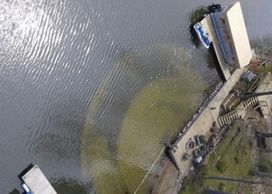 Lakeside Innovations-WeedRoller - Eliminate Lake Weeds, Weedroller ...