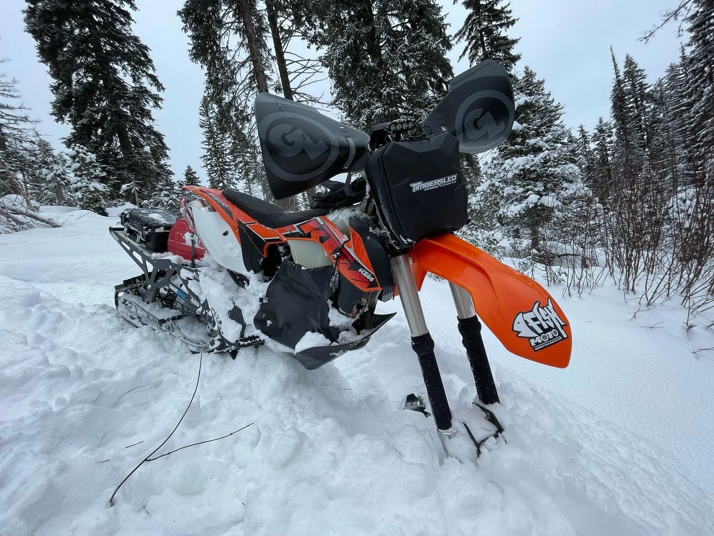 Home [fish-moto.com]