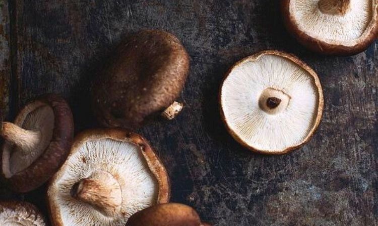 Hongo Shiitake, beneficios y propiedades