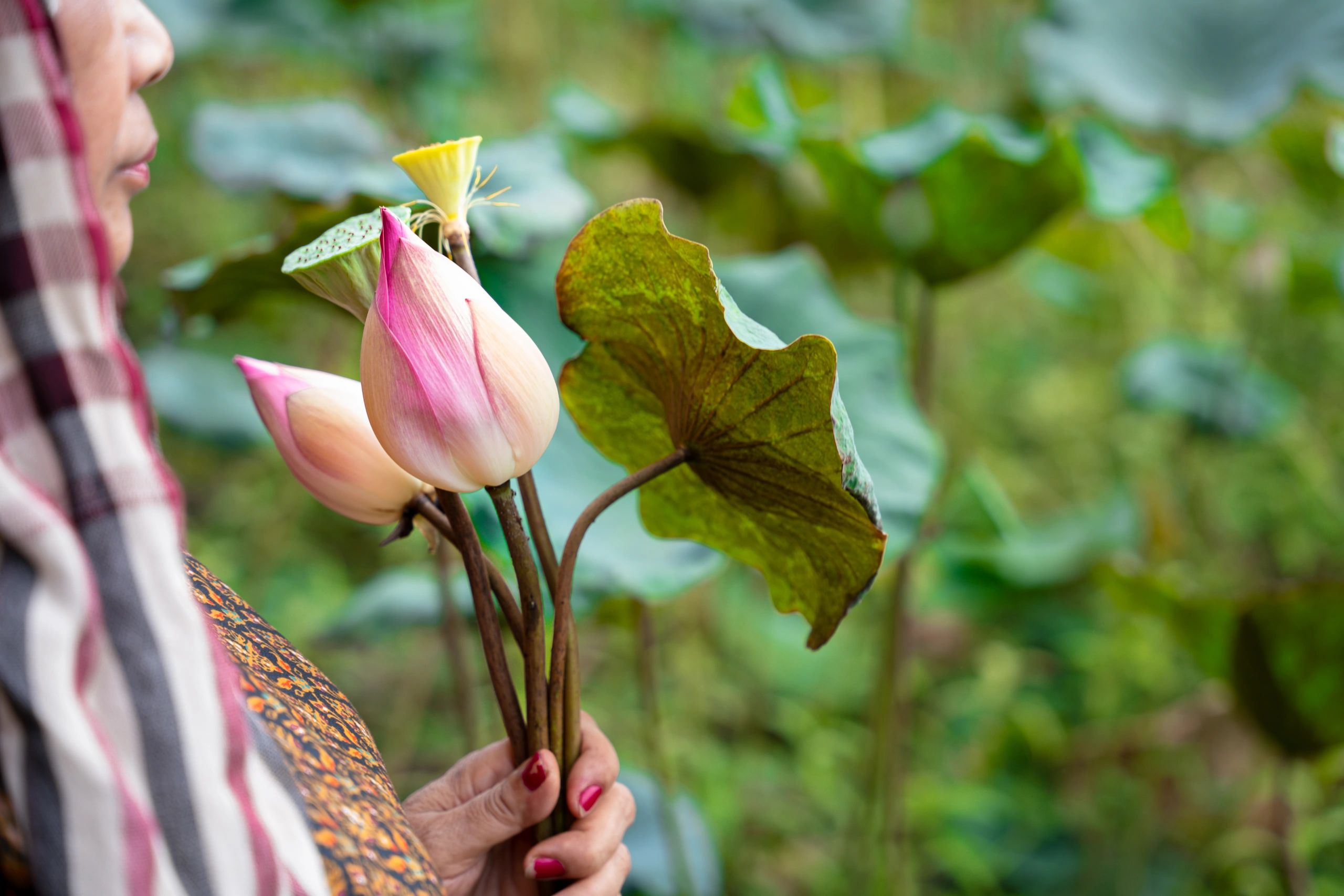 Home [kateflower.org]