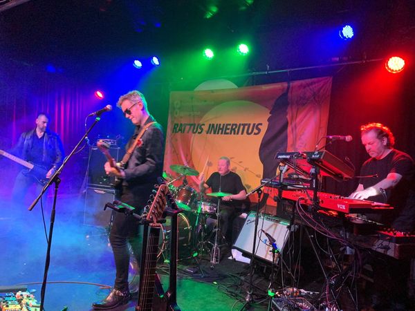 Rattus Inheritus - The Stranglers, Live Music, Band