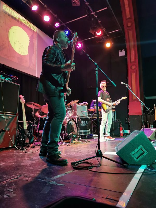 Rattus Inheritus - The Stranglers, Live Music, Band