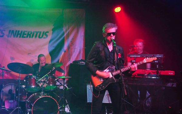 Rattus Inheritus - The Stranglers, Live Music, Band