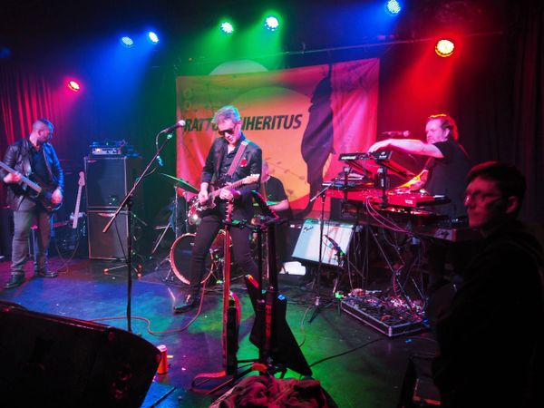 Rattus Inheritus - The Stranglers, Live Music, Band