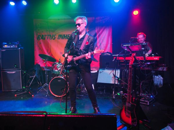 Rattus Inheritus - The Stranglers, Live Music, Band