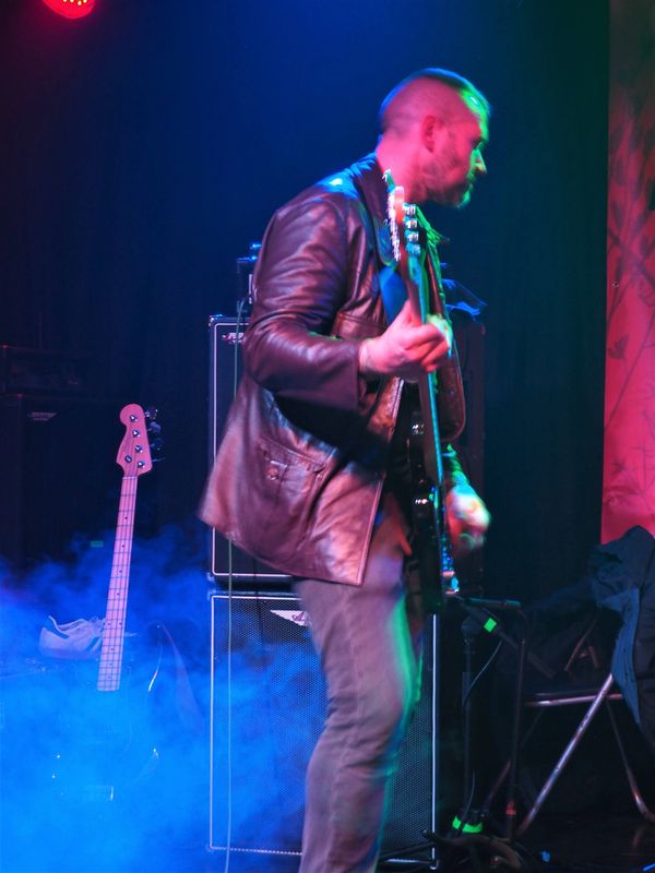 Rattus Inheritus - The Stranglers, Live Music, Band