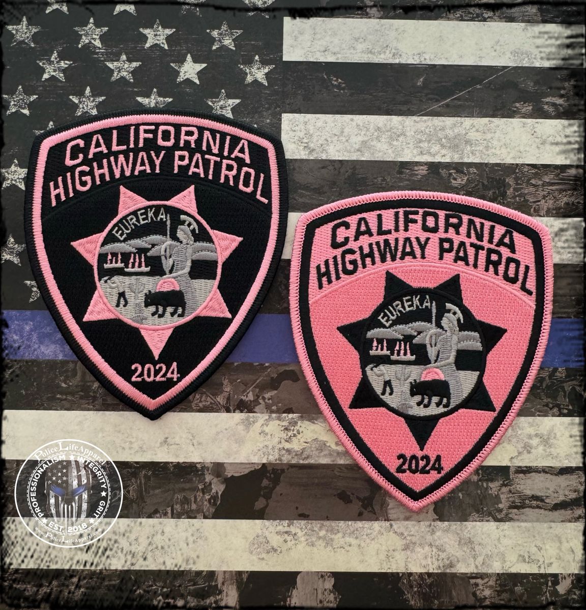 2024 Novelty Pink CHP 5” Patch