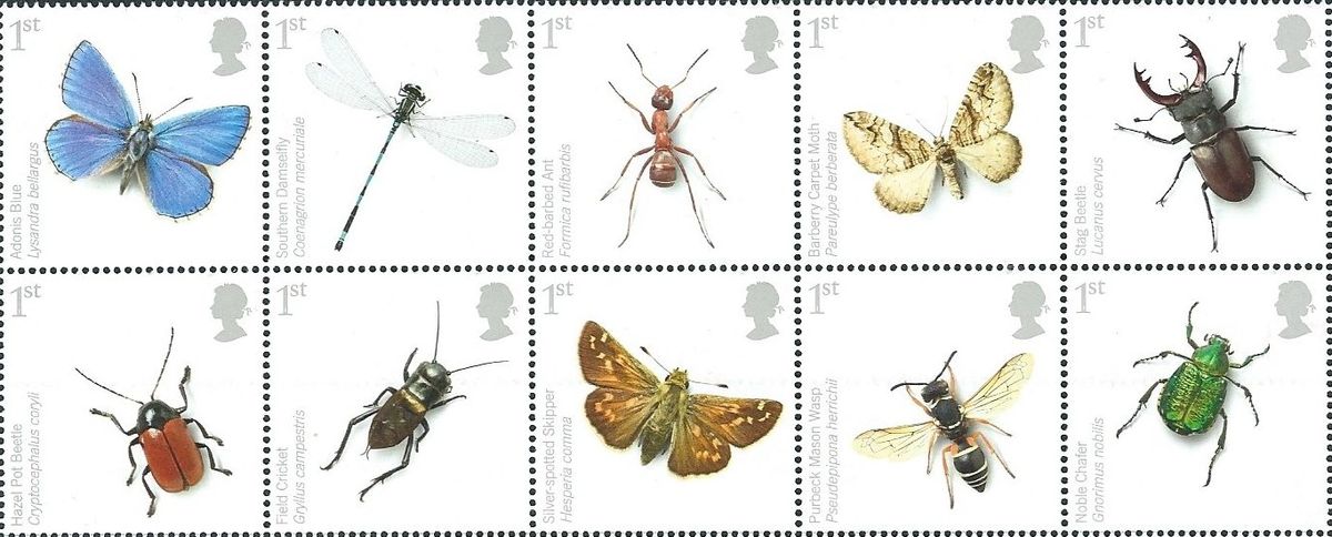 Insects 1st Class Postage Stamps - 10 x Stamps for Postage featuring UK ...