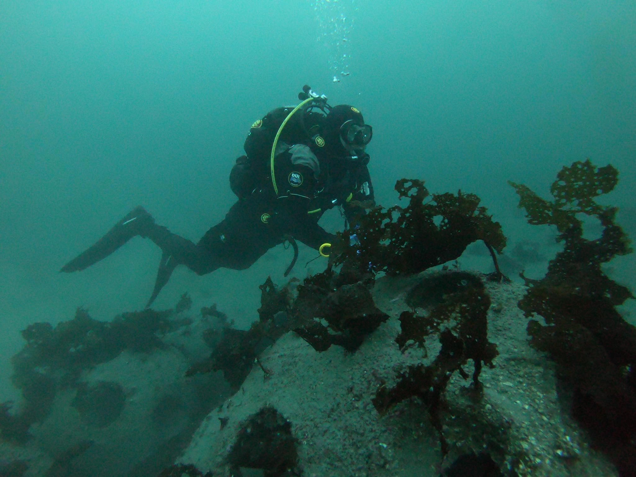 Aquatic Adventures - Scuba Diving, Dive Shop, Cpr First Aid