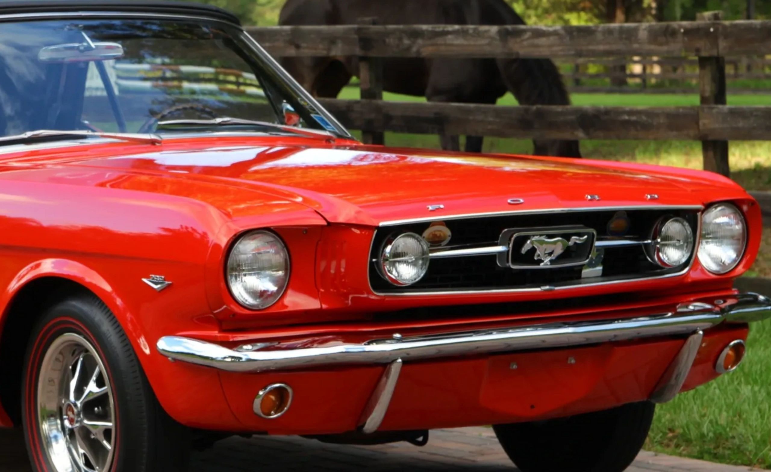 Premium Ceramic coating and Liquid PPF for new and classic cars ...