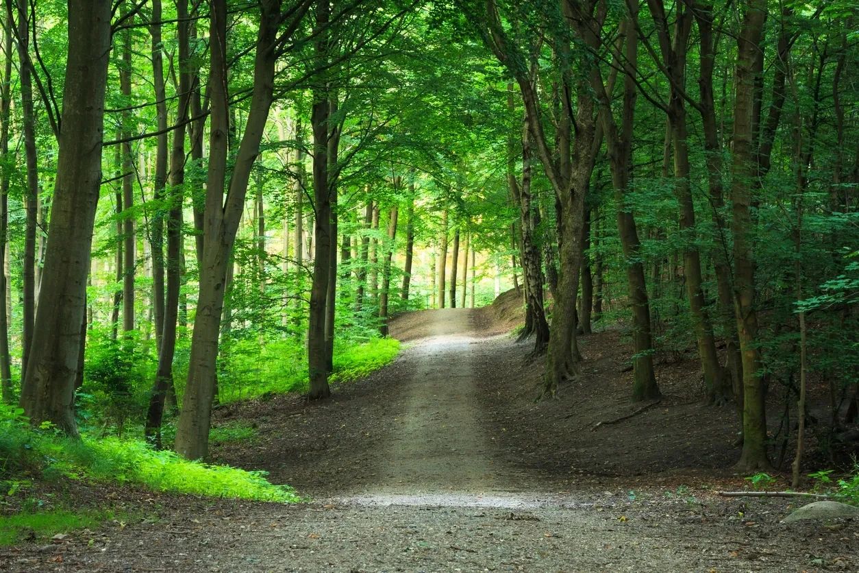 Certified Life Coach - Virtual ADHD Coaching with Kate