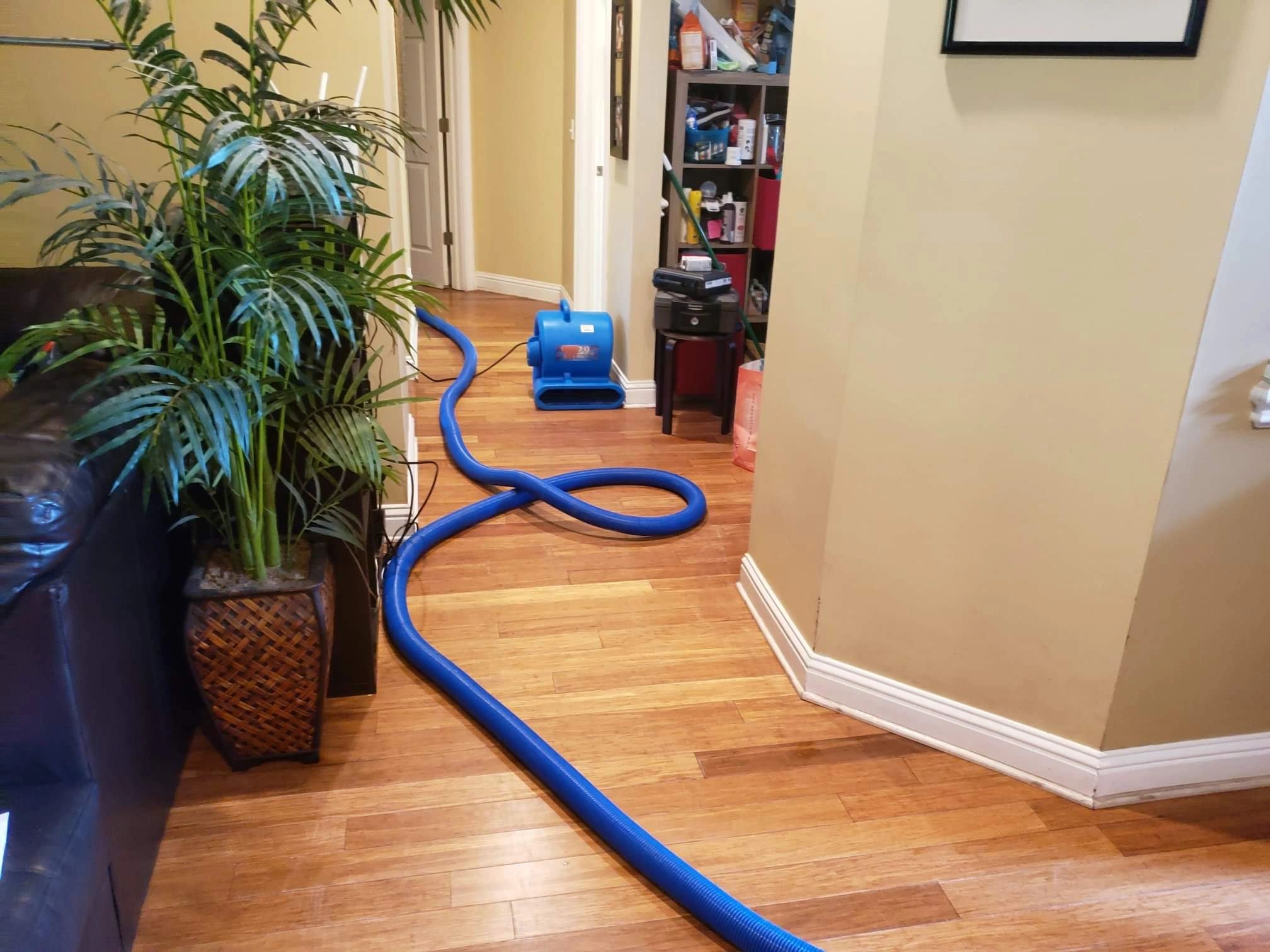 Water Damage Restoration Services - DMS Restoration Services
