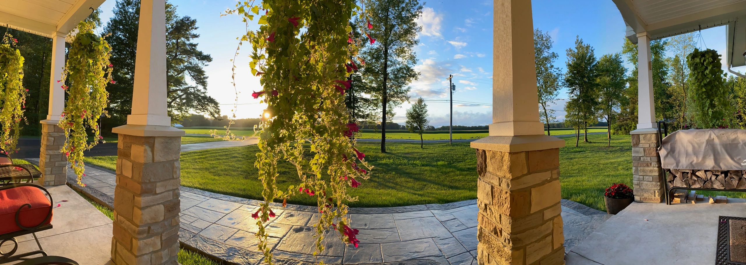 Green Tree Property Maintenance