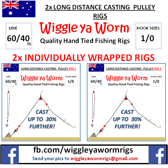2x Wiggle ya Worm Hand Tied 60lb/40lb Long Cast Beach Pulley Rigs, 2x 1 ...