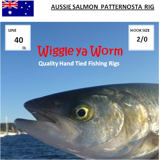 Hand Tied Aussie Salmon 40lb Twisted Paternosta rig, 2 x Heavy Duty 2/0 ...