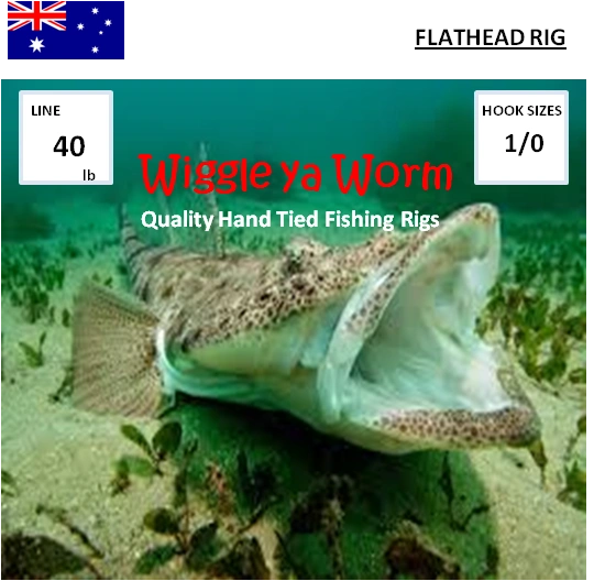 40lb Mono Flathead Fish Finder Rig, 2 x 1/0 hooks, Sliding weight clip ...