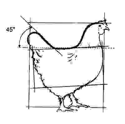 General Description | Marans Chicken Club, USA