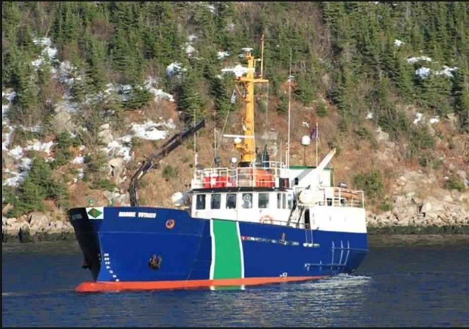 CAREERS | Puddister Trading Co Ltd