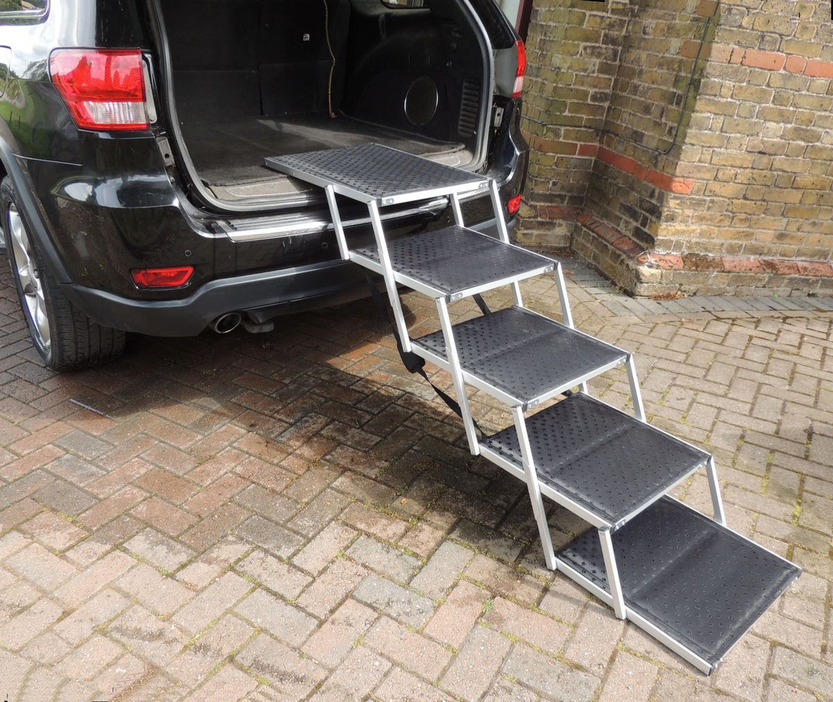 FOLDING STEPS FOR GIANT BREEDS - LARGE