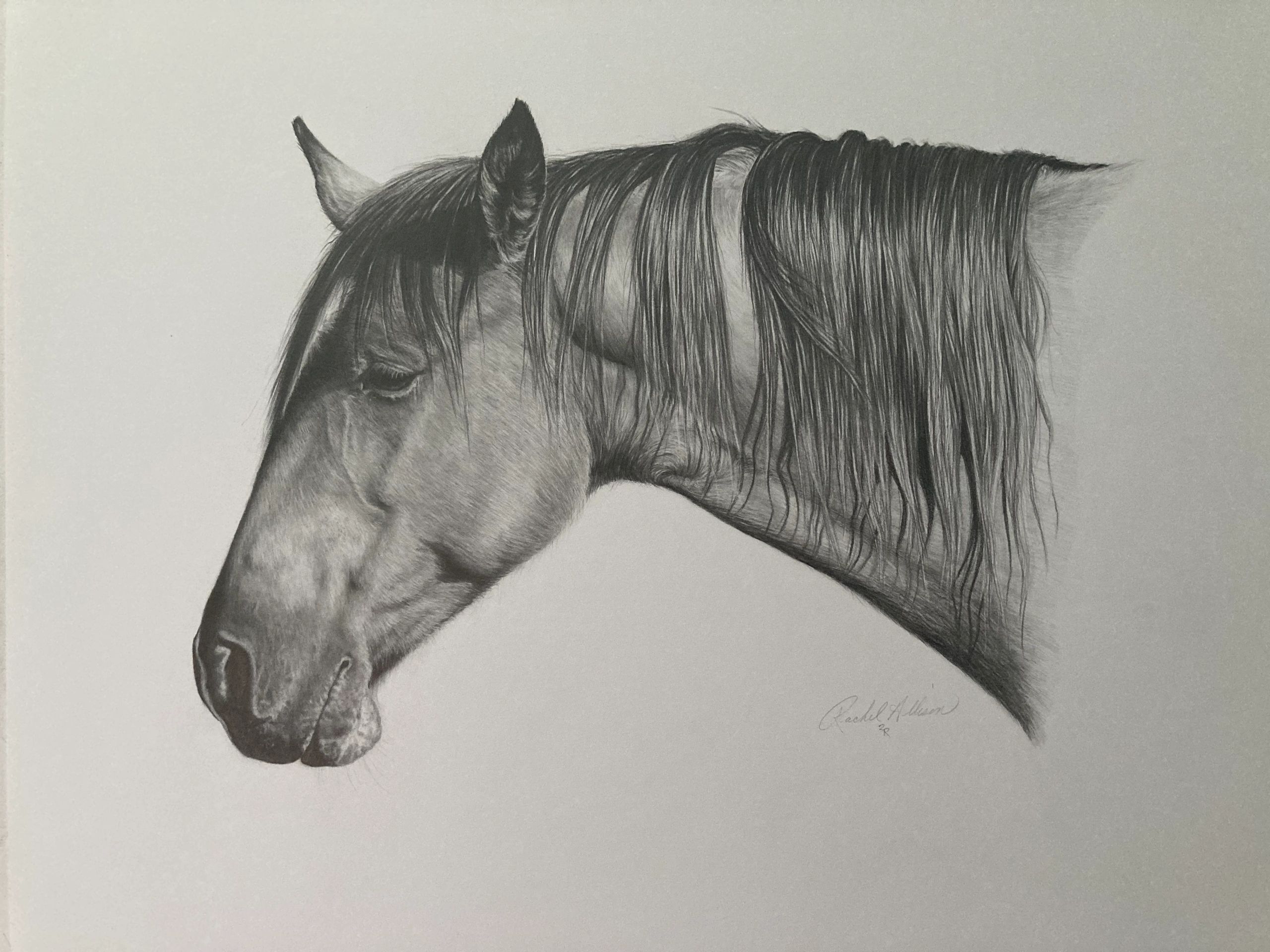 Western Art - Rachel Allison Art