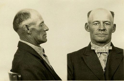 The Saga of Bertha's Old, White-faced Cow