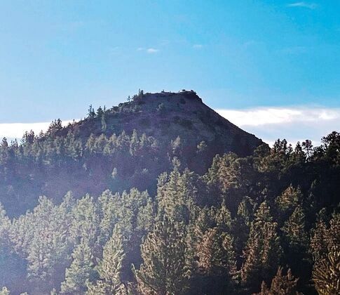 The Mystery of Soaring Hawk