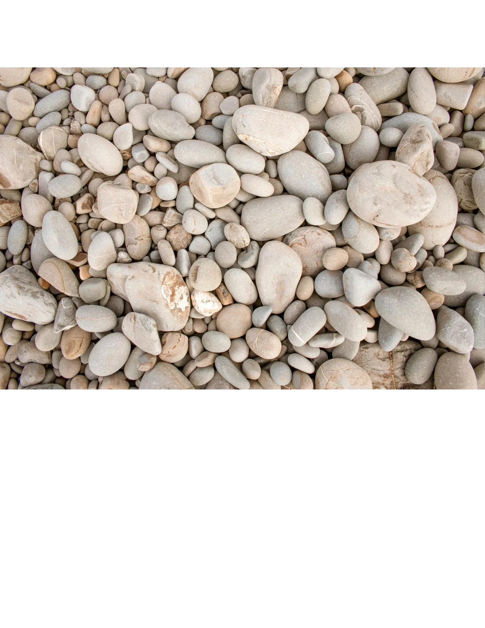 Haven Health & Wellness - Assisted Lymphatic Therapy