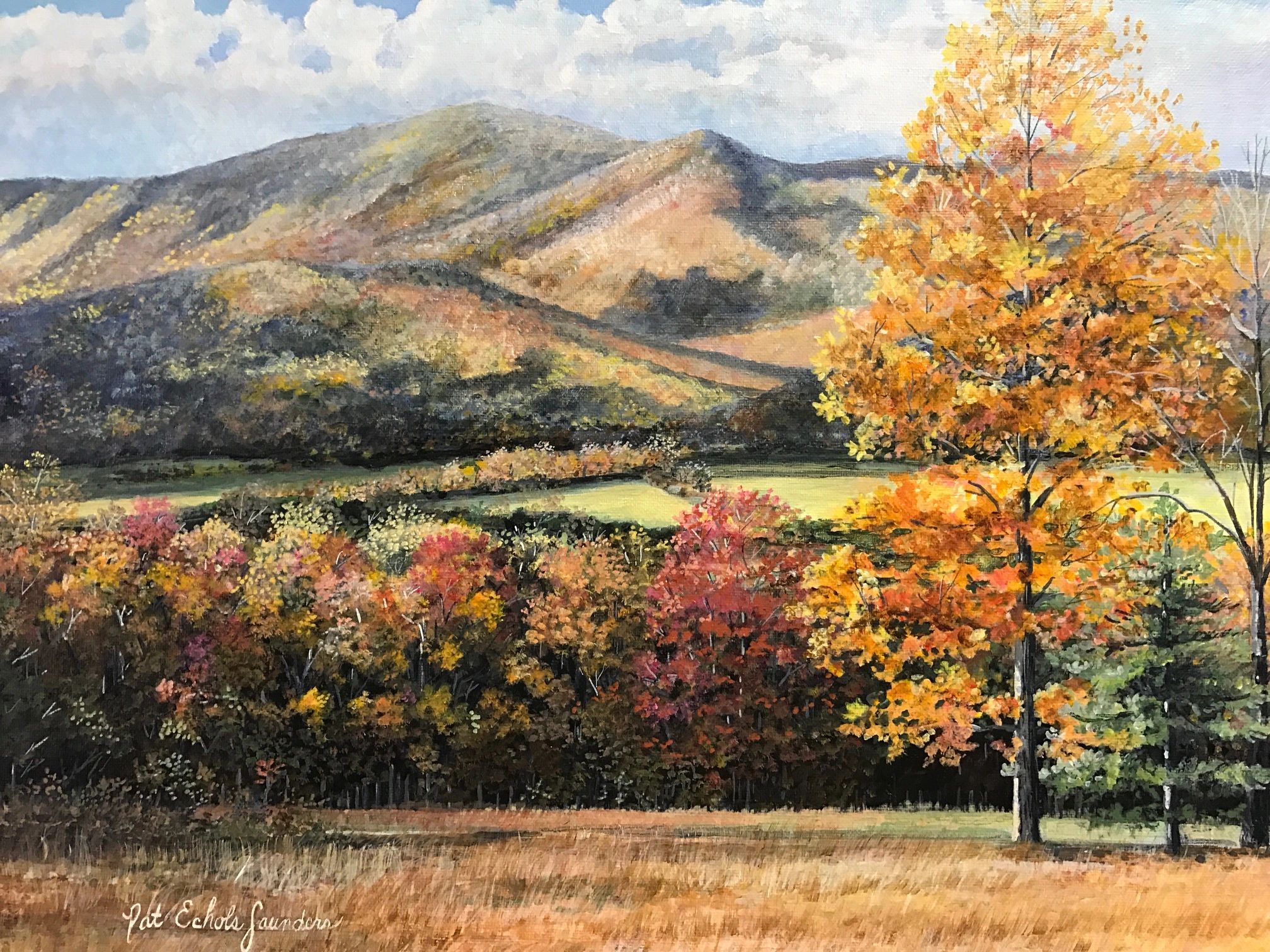 Pat Echols Saunders, Artist