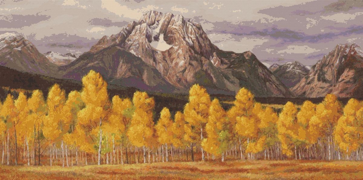 Aspen Canopy