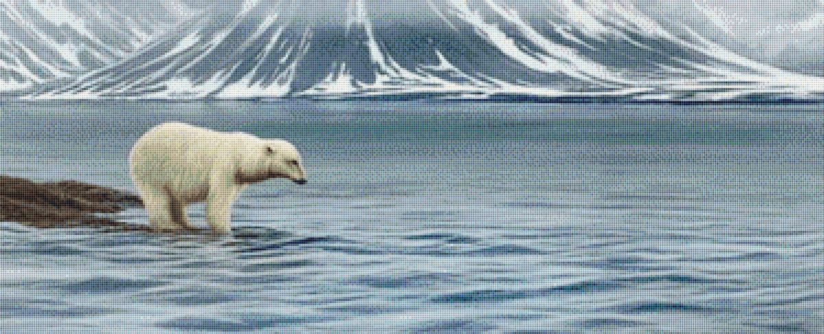 Hard Arctic Summer