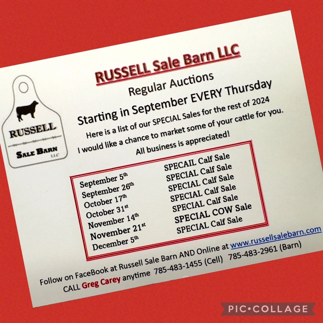 Auction Schedule