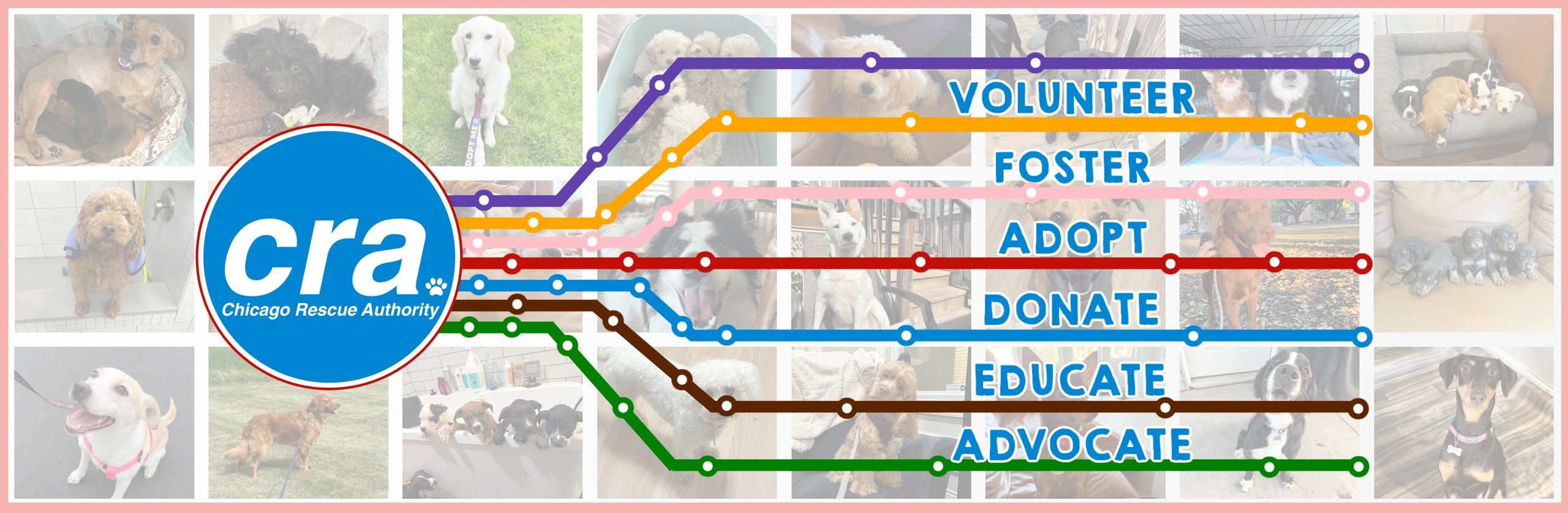 Our Programs | Chicago Rescue Authority