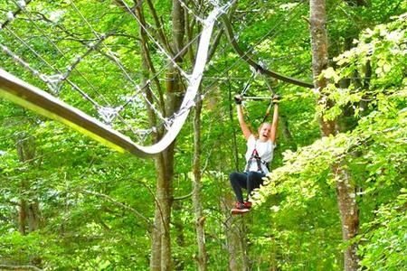 Coaster Zipline (EN)