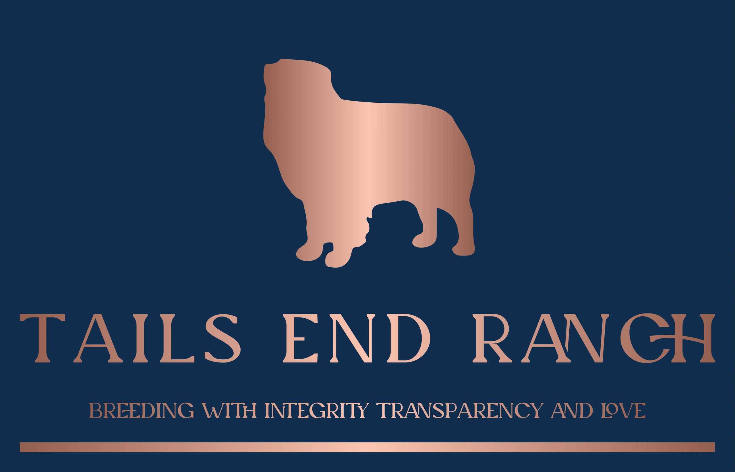 Tails End Ranch - Breeder, Australian Shepherd