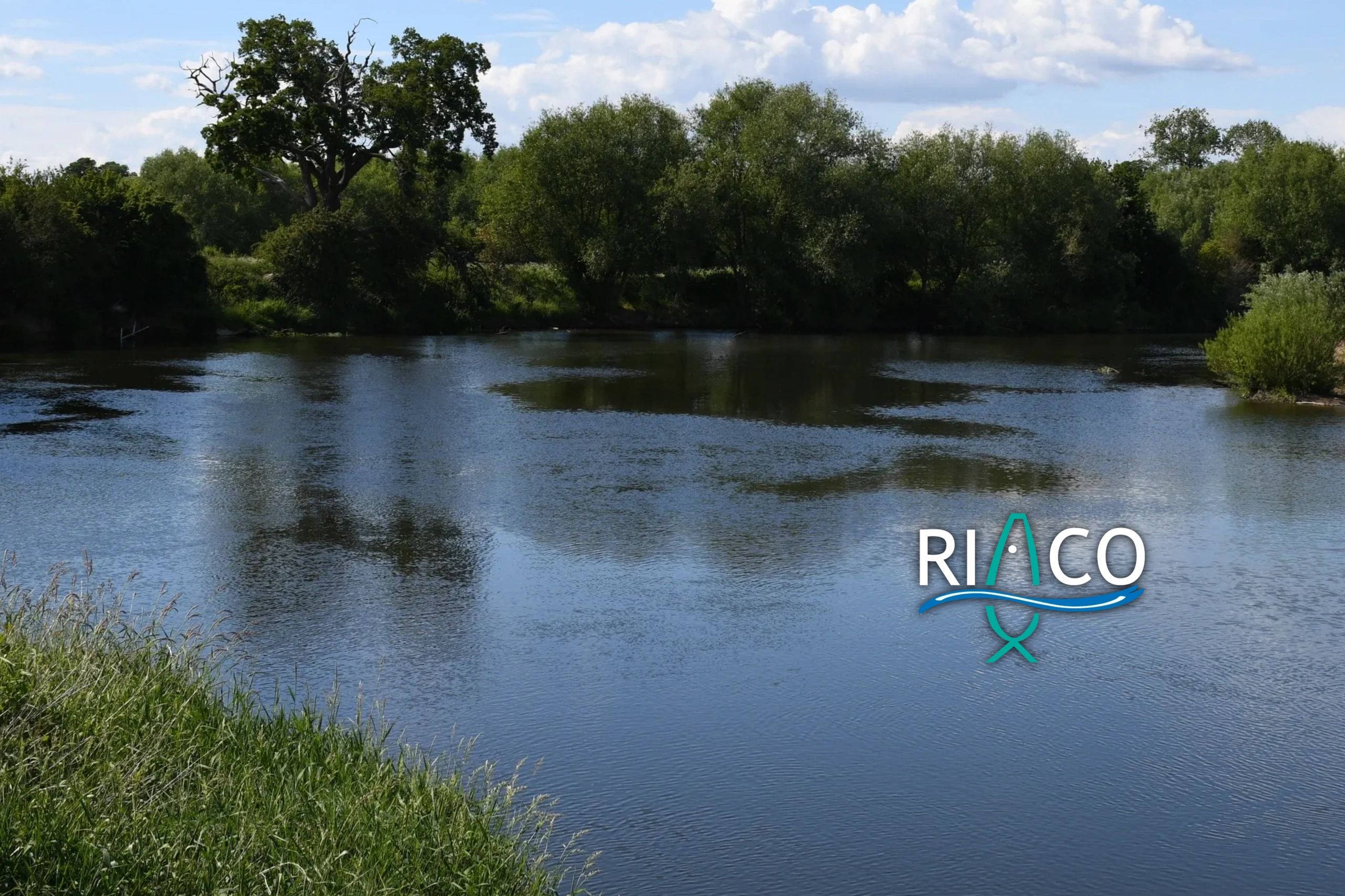 RIACO - Instructional Videos, Fishing Tips