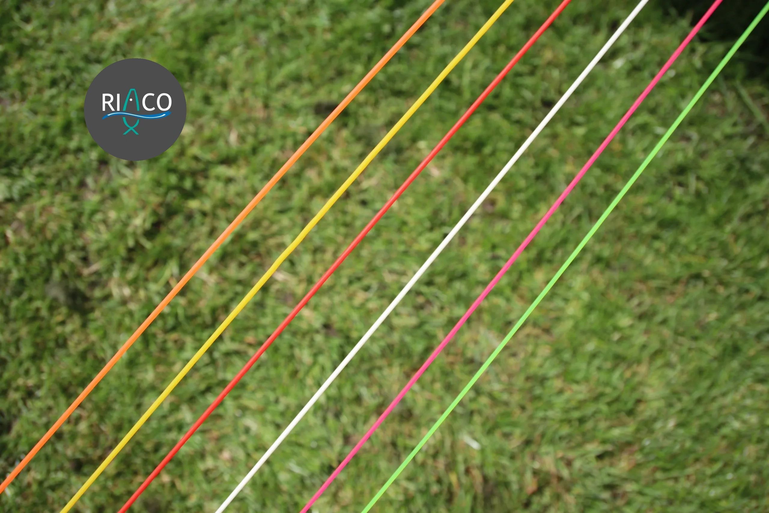 Finally! Power Hybrid Elastic has come to RIACO!