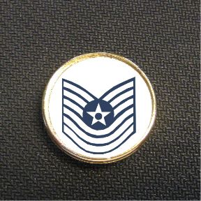 Master Sergeant Lapel Pin (#083)