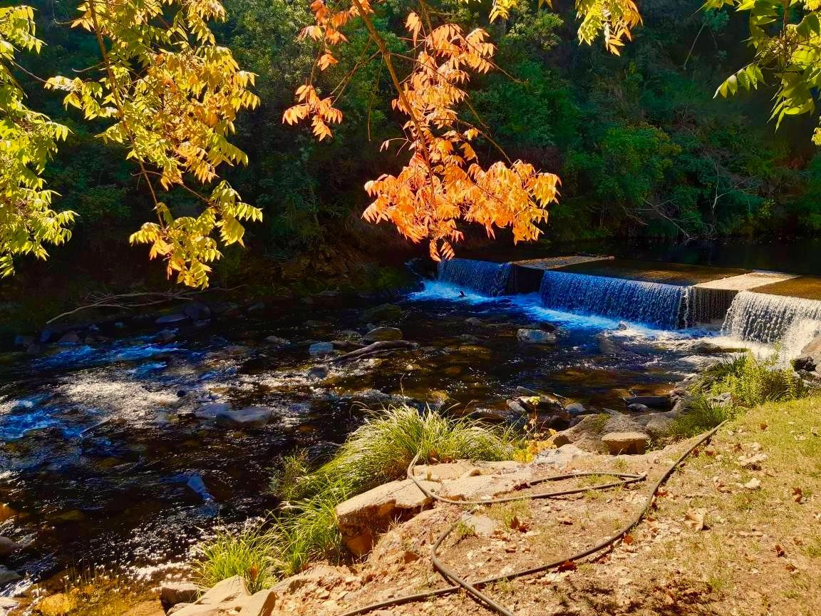 Home [thefellowsfoundation.org.au]