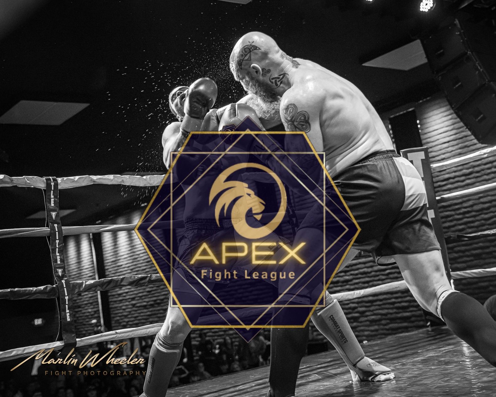 Apexfightleague.com