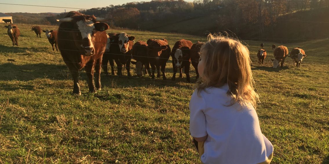 Lewis Family Farms
