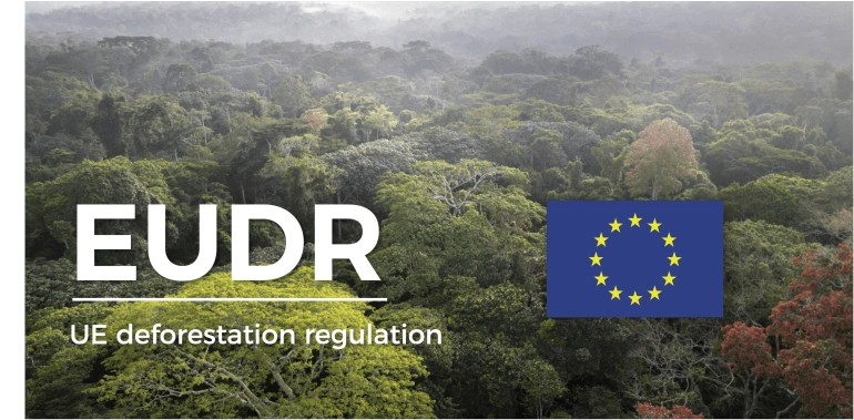 Understanding EUDR 2025: About the New EU Deforestation Rules