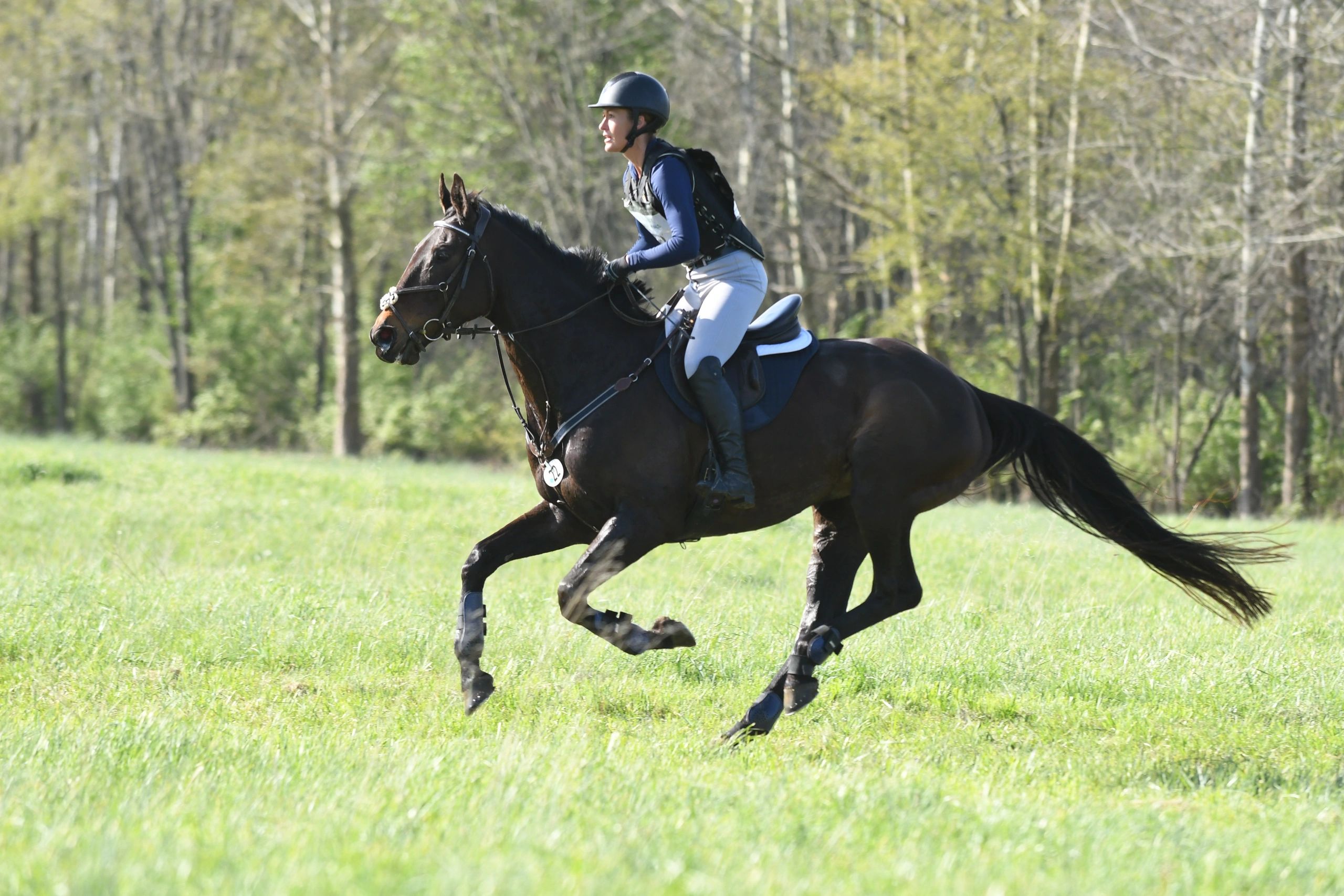 Quality Horse Riding Lessons and Training Services